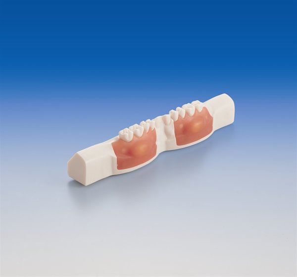 Model for abscess removal, incision and suturing training - Training ...